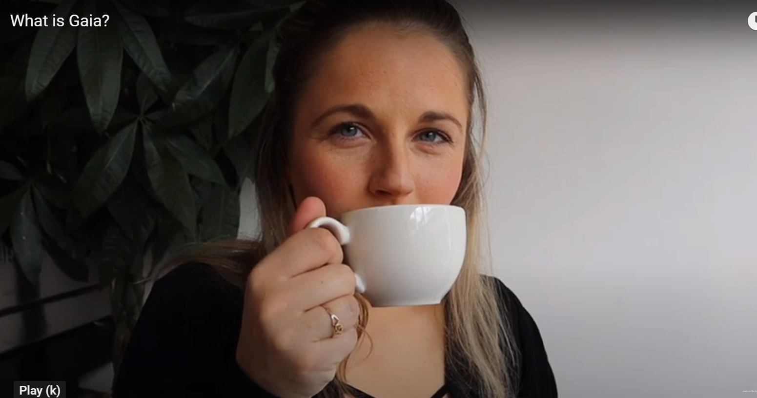 Gaia Coffee – Gaia Giving CIC